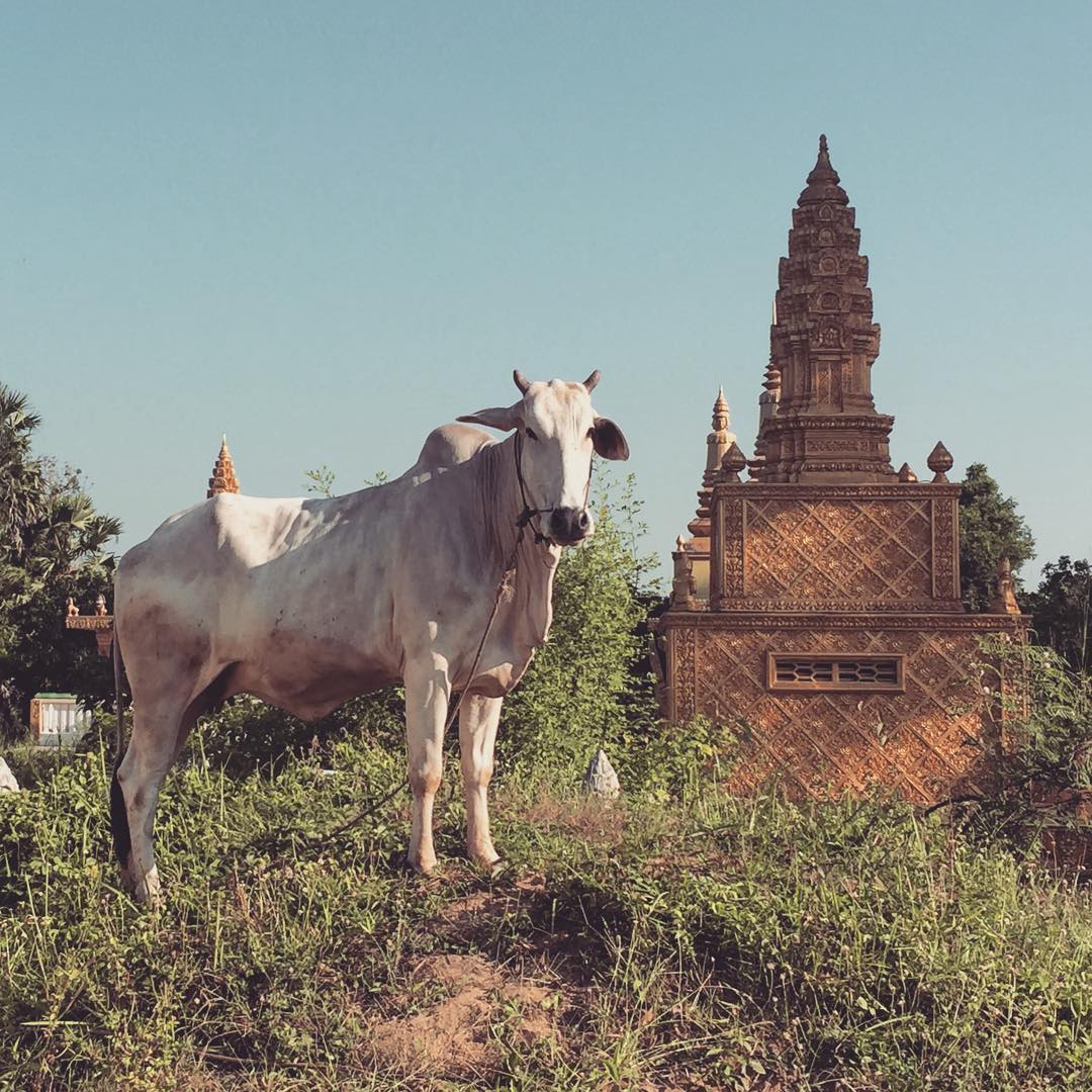 Kandal Province | Enric Catala